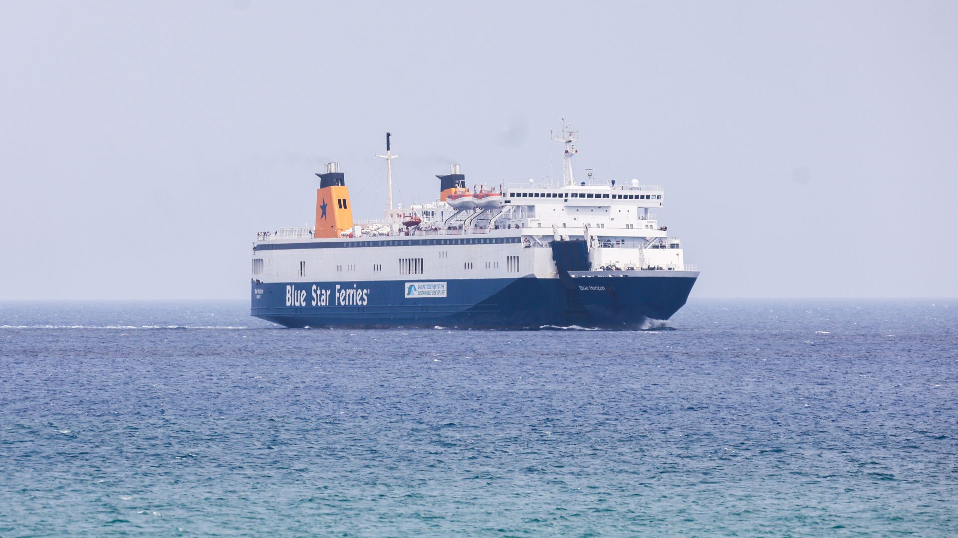 Έγκλημα στο Blue Horizon: Η εταιρεία απομακρύνει τον διευθύνοντα ...
